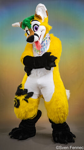 Pineapple Fox - WikiFur, the furry encyclopedia