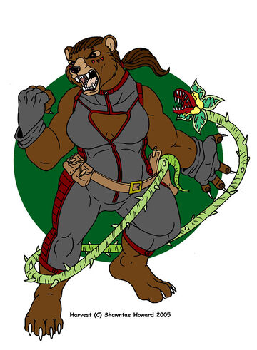 Bear - WikiFur, the furry encyclopedia