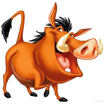 Pumbaa - WikiFur, the furry encyclopedia